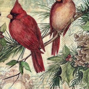 Decoupage Napkins, Cardinal Paper Napkins, 2 Individual Bird Guest Size ...