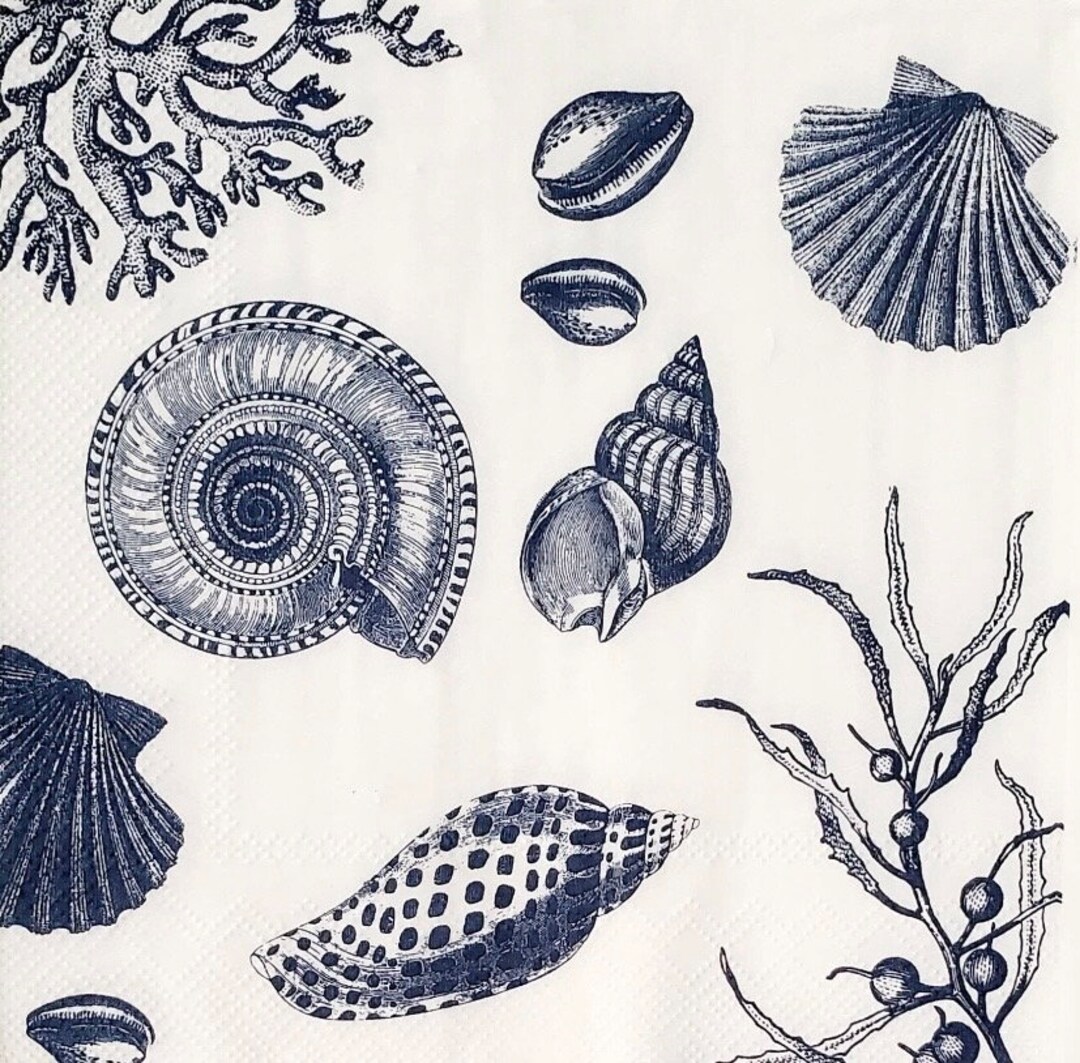 Decoupage Napkins, Sea Shell Paper Napkins, 3 Individual Blue and White ...