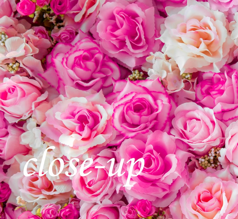 Soft Pink Color Roses Background Removable Fabric Wallpaper - Etsy