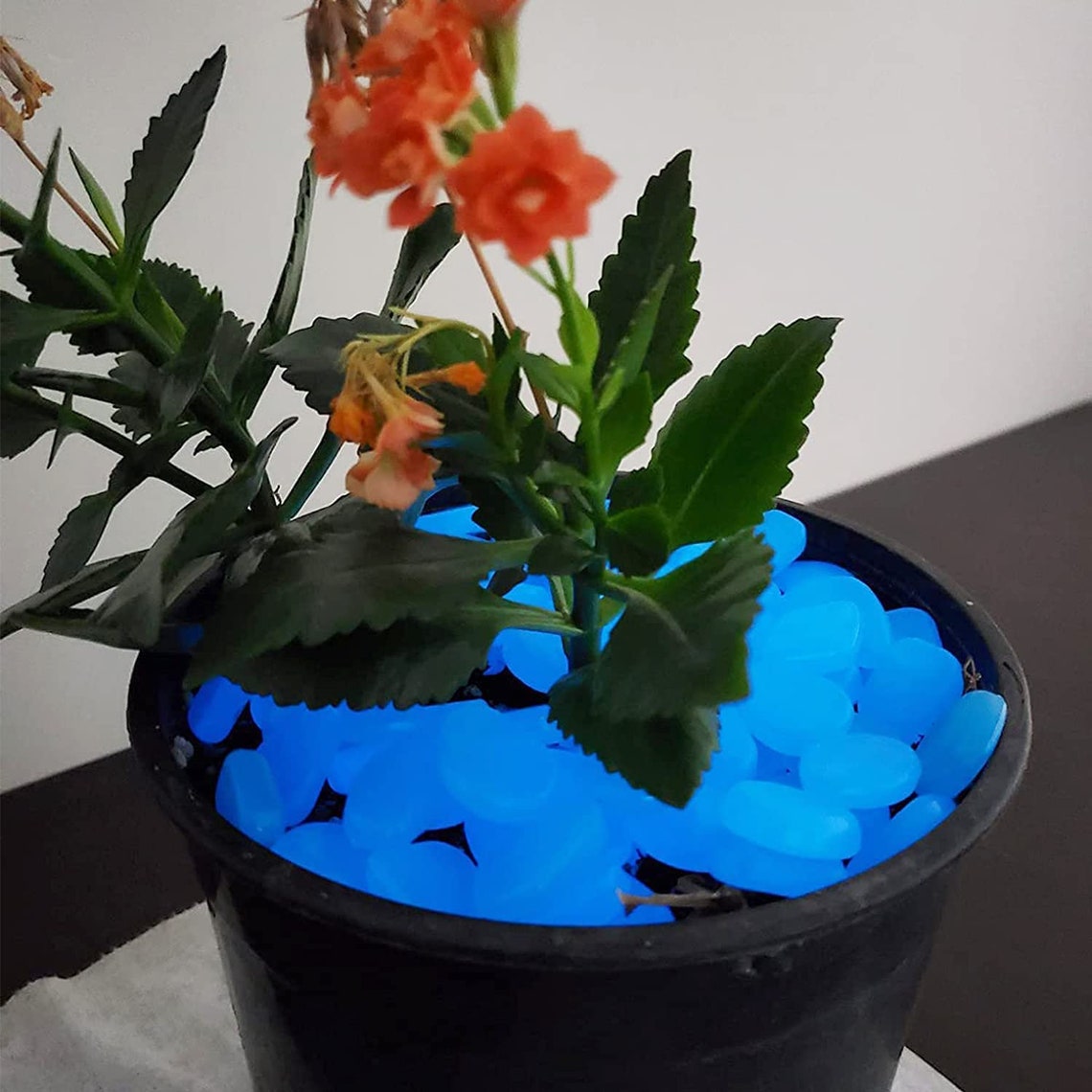 Blue Luminous Glow Pebbles, Outdoor Decor (200PCS) - Etsy