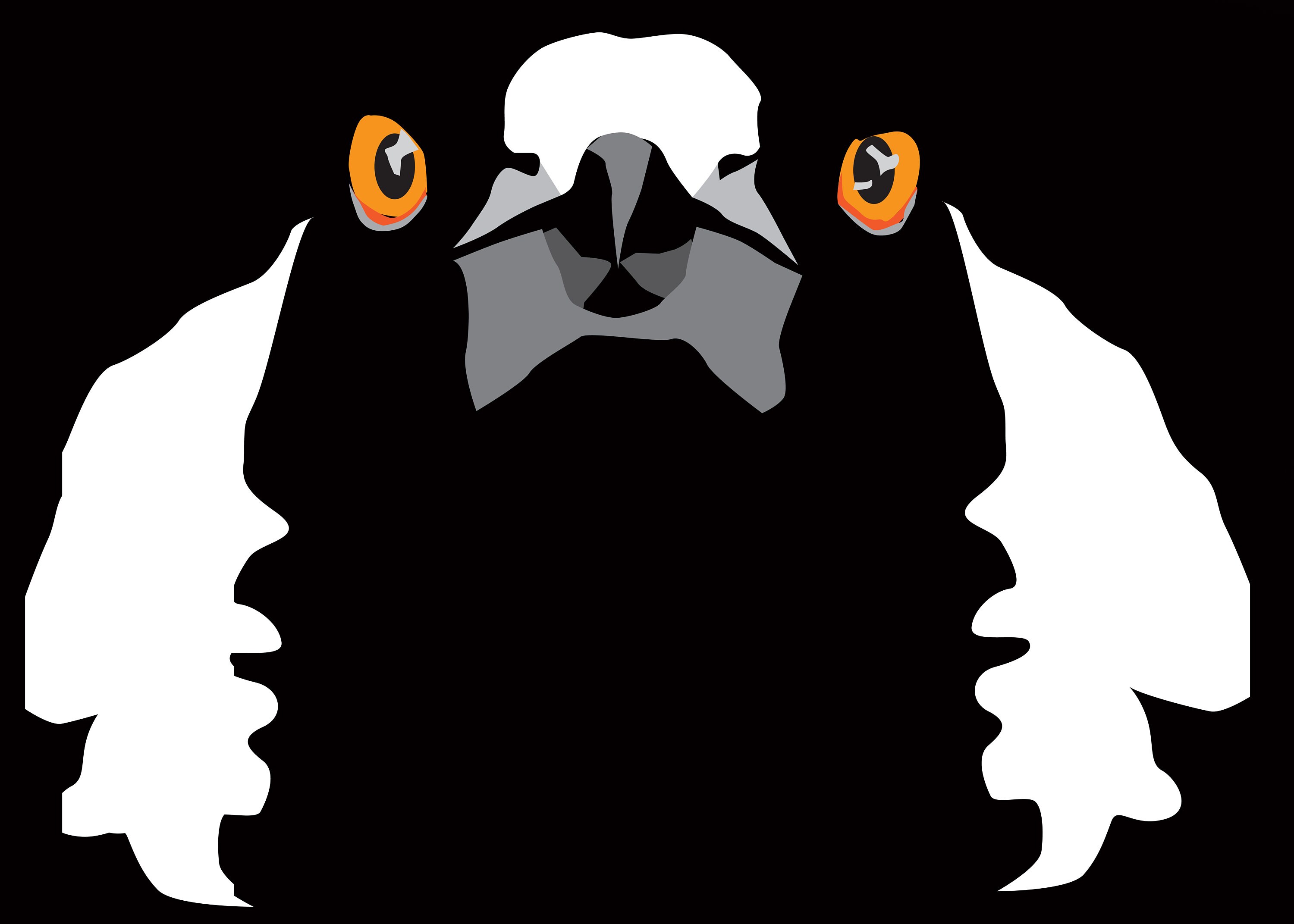 Magpie Face PNG Files PNG Files Collingwood Bird Face - Etsy Australia