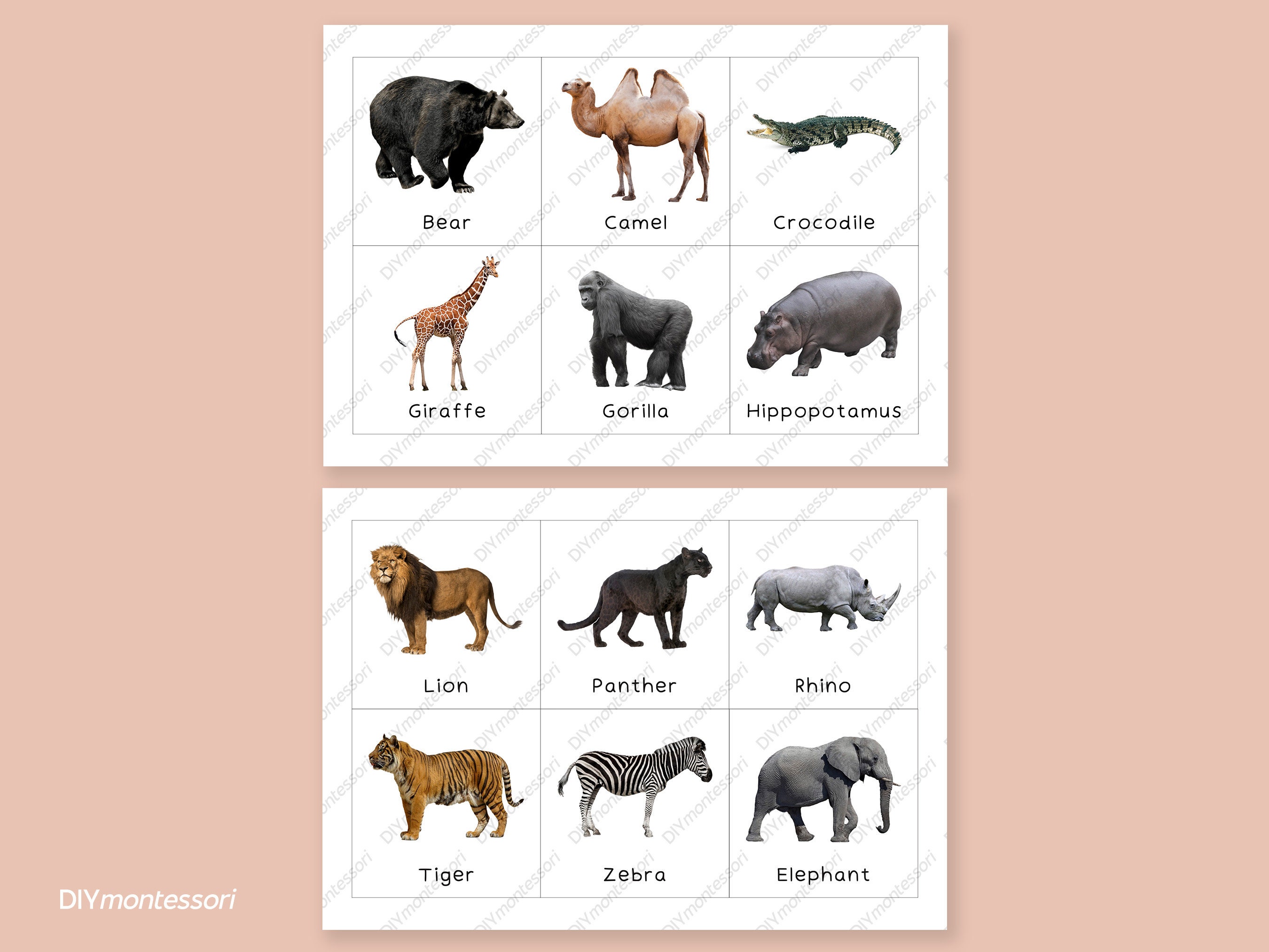 Wild Animals TOOB - Safari LTD Matching Montessori Language Cards ...