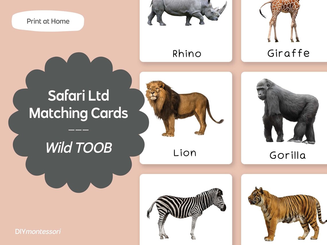 Wild Animals TOOB - Safari LTD Matching Montessori Language Cards ...