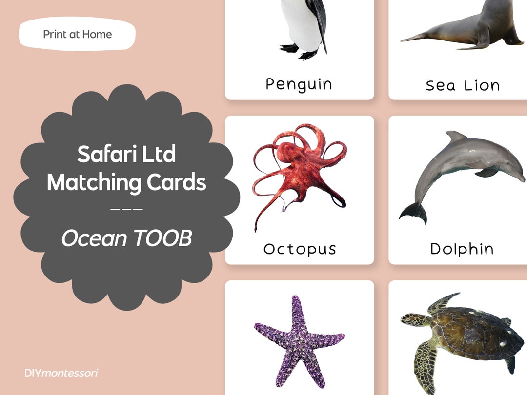Ocean TOOB - Safari LTD Matching Montessori Language Cards - Printable ...