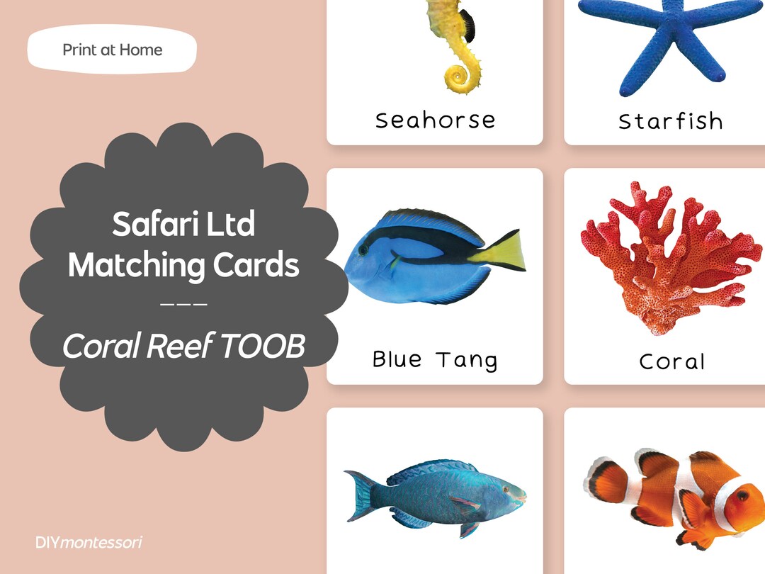 Coral Reef TOOB - Safari LTD Matching Montessori Language Cards ...