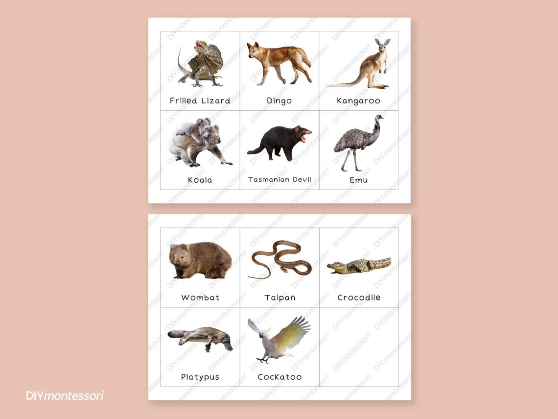 The Land Down Under Australian TOOB - Safari LTD Matching Montessori ...