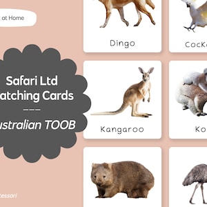 The Land Down Under Australian TOOB - Safari LTD Matching Montessori ...