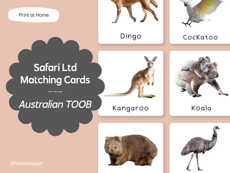 The Land Down Under Australian TOOB - Safari LTD Matching Montessori ...