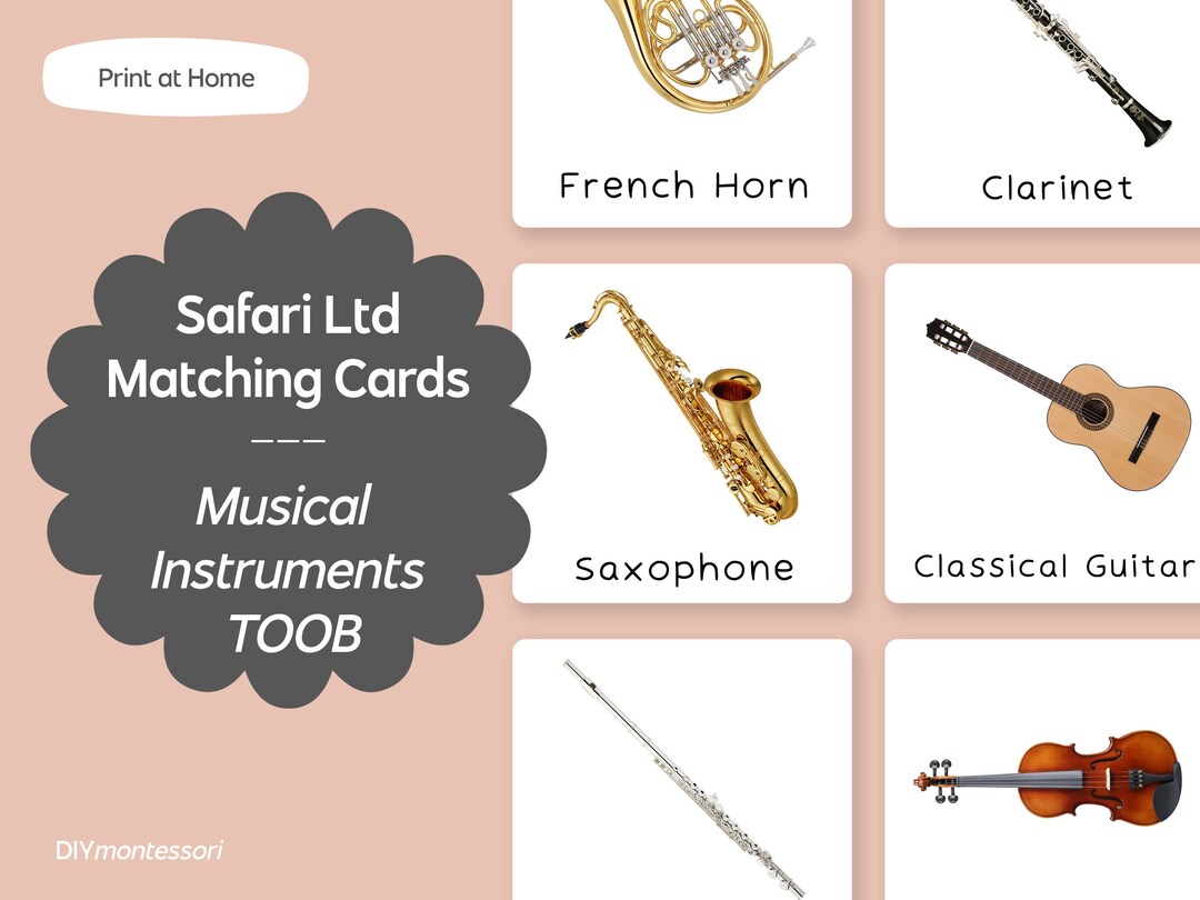 Musical Instruments TOOB - Safari LTD Matching Montessori Language ...