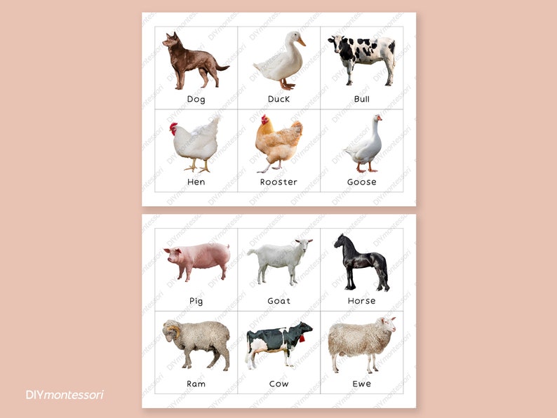 Farm Animals TOOB - Safari LTD Matching Montessori Language Cards ...