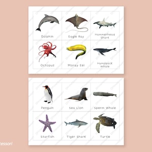 Ocean TOOB - Safari LTD Matching Montessori Language Cards - Printable ...