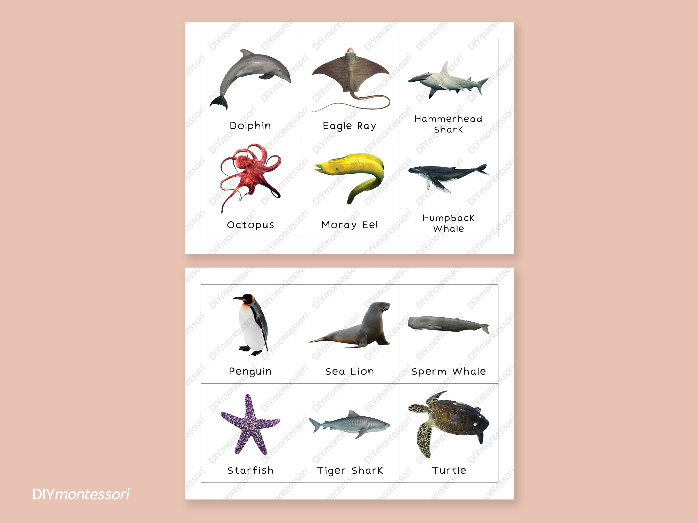Ocean TOOB - Safari LTD Matching Montessori Language Cards - Printable ...