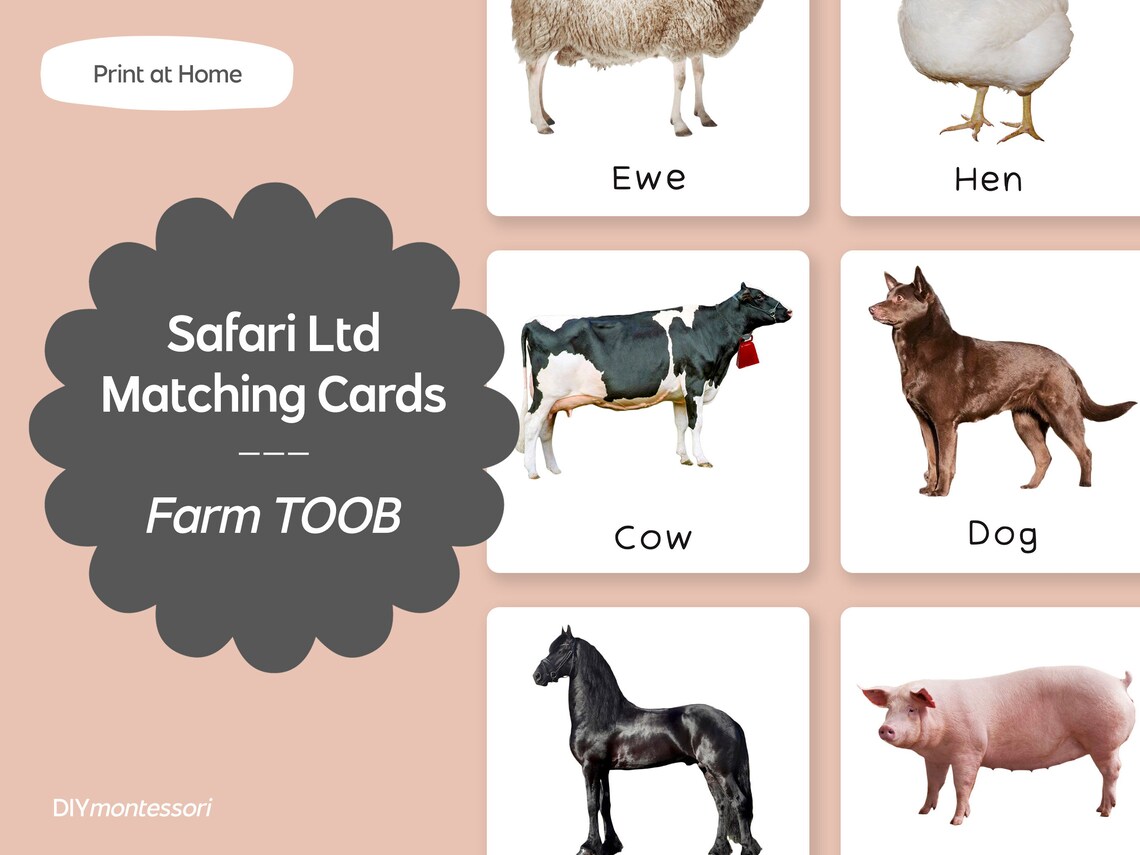 Farm Animals TOOB - Safari LTD Matching Montessori Language Cards ...