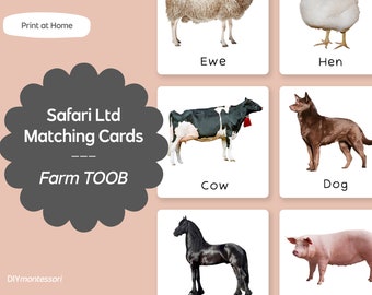 Montessori Farm Animal 3 Part Cards - Etsy Ireland