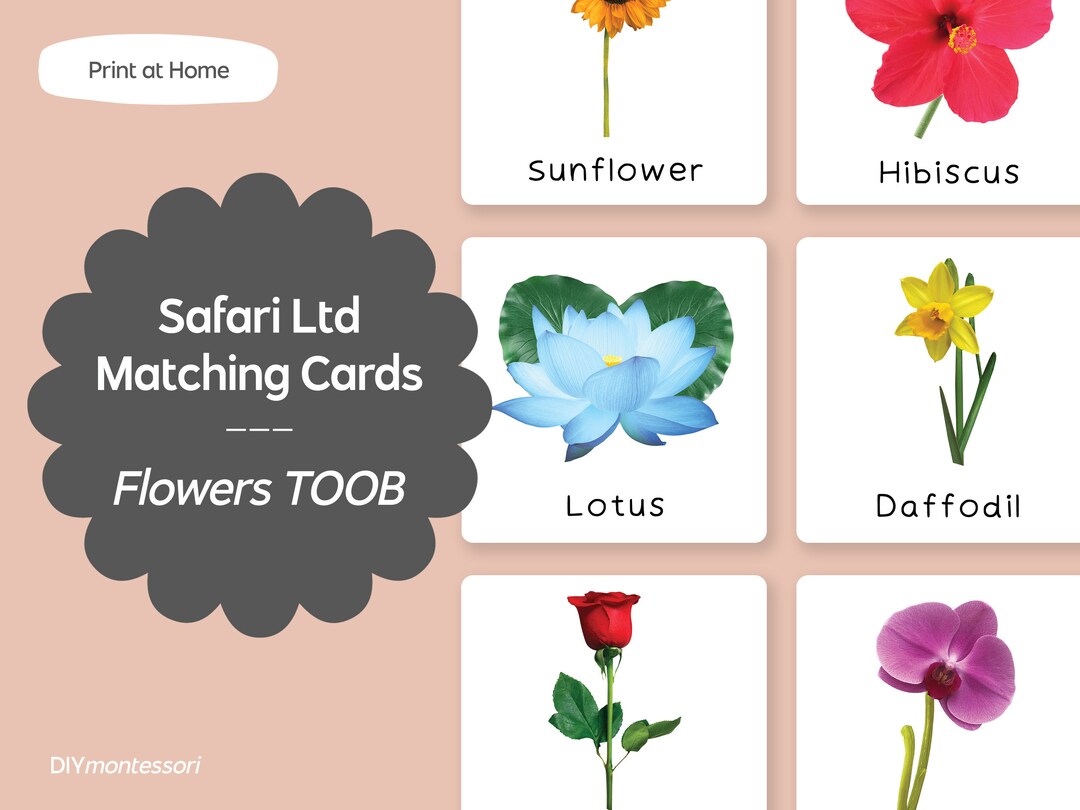 Flowers TOOB - Safari LTD Matching Montessori Language Cards Printable ...