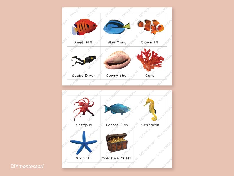 Coral Reef TOOB - Safari LTD Matching Montessori Language Cards ...