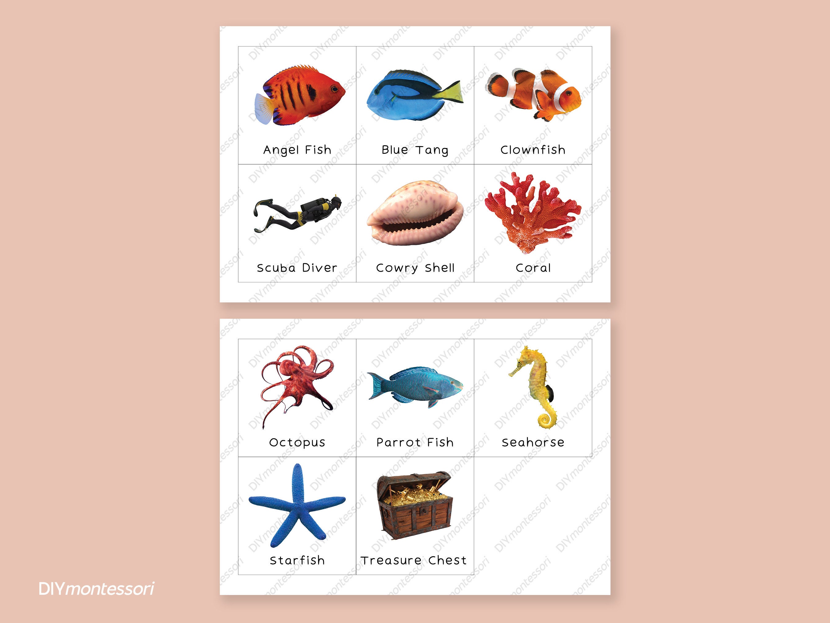 Coral Reef TOOB - Safari LTD Matching Montessori Language Cards ...