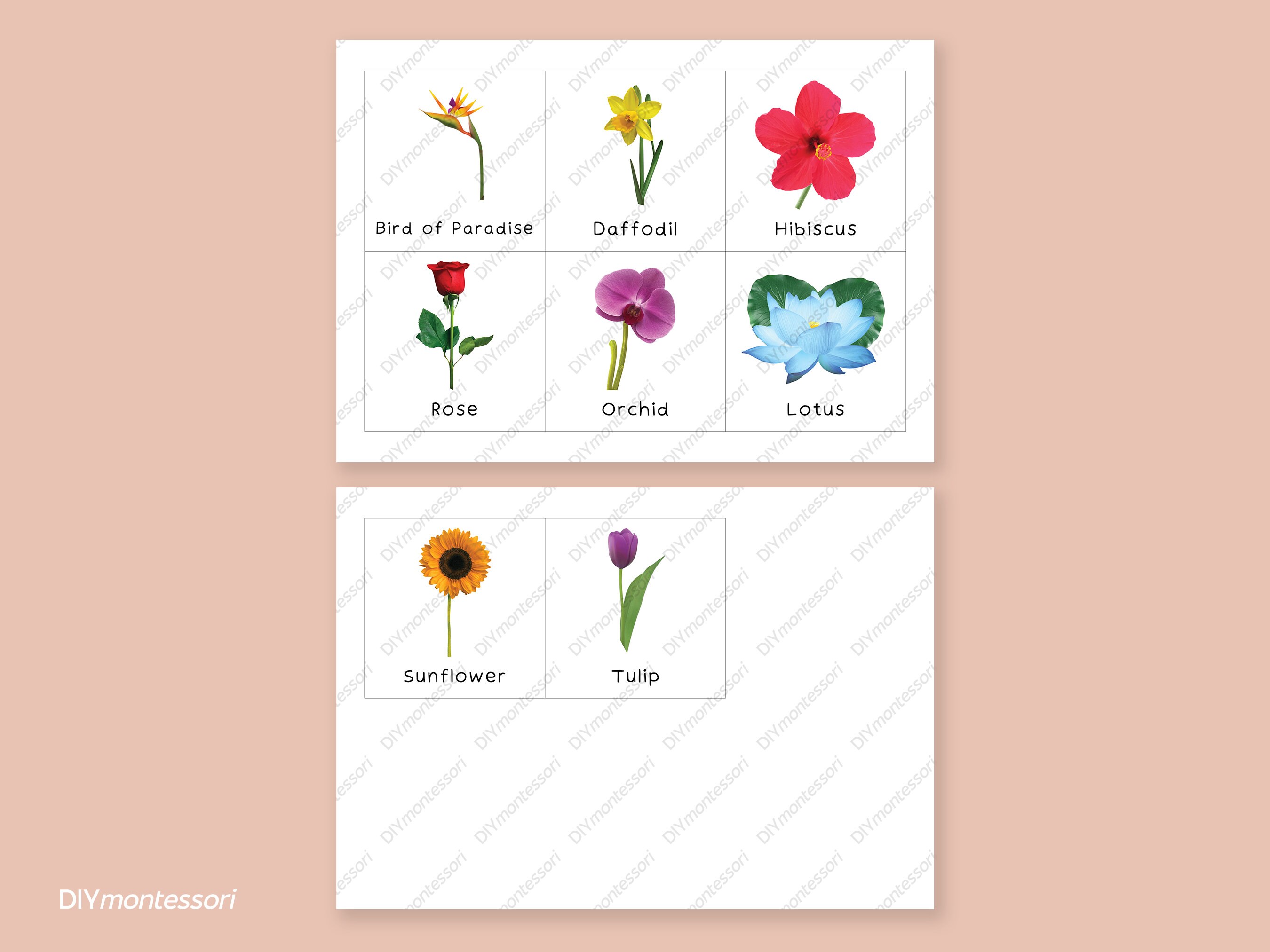 Flowers TOOB - Safari LTD Matching Montessori Language Cards Printable ...