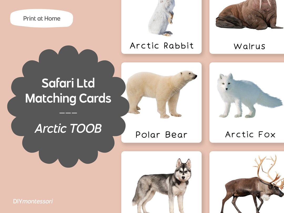 Arctic Animals TOOB - Safari LTD Matching Montessori Language Cards ...