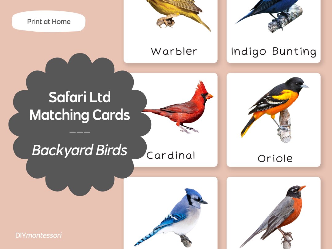 Backyard Birds TOOB - Safari LTD Matching Montessori Language Cards ...