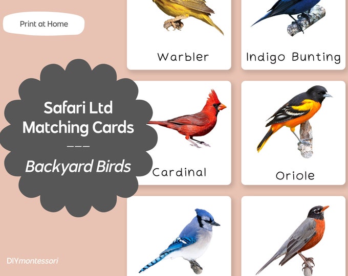 Backyard Birds Safari Toob - Montessori 3-part Cards PDF File ...