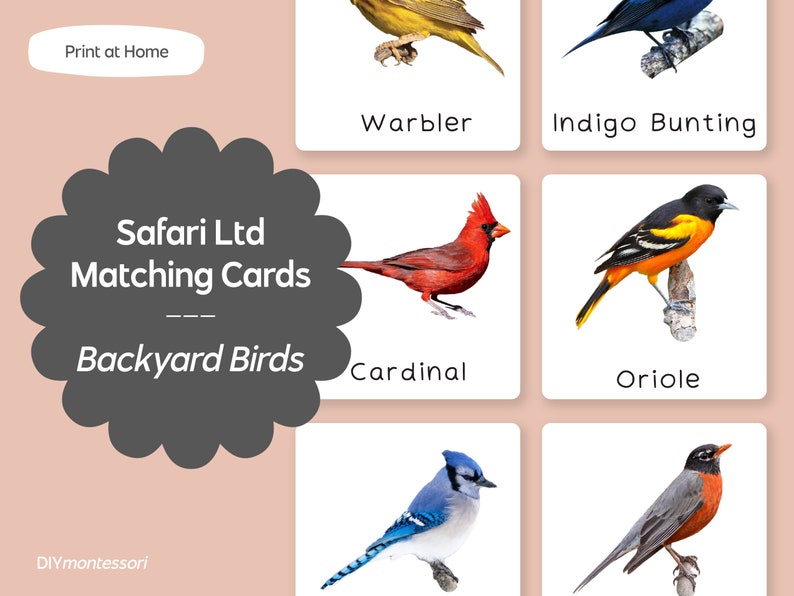 Backyard Birds TOOB - Safari LTD Matching Montessori Language Cards ...