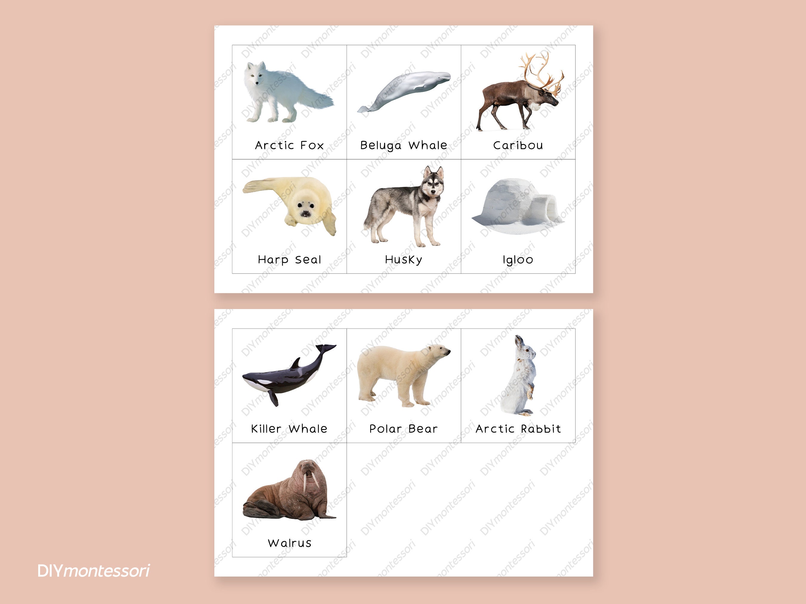 Arctic Animals TOOB - Safari LTD Matching Montessori Language Cards ...