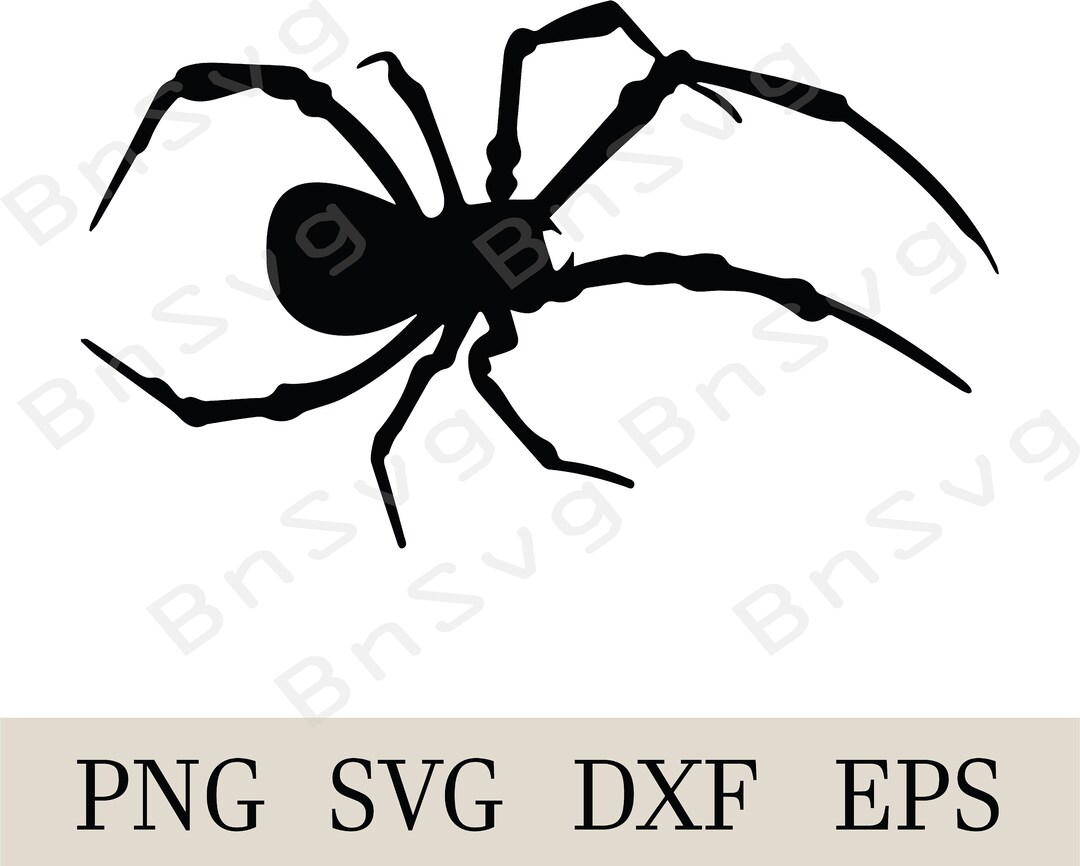 Spider SVG, PNG, EPS, Cut Files, Layered, Cricut, Silhouette, Card ...