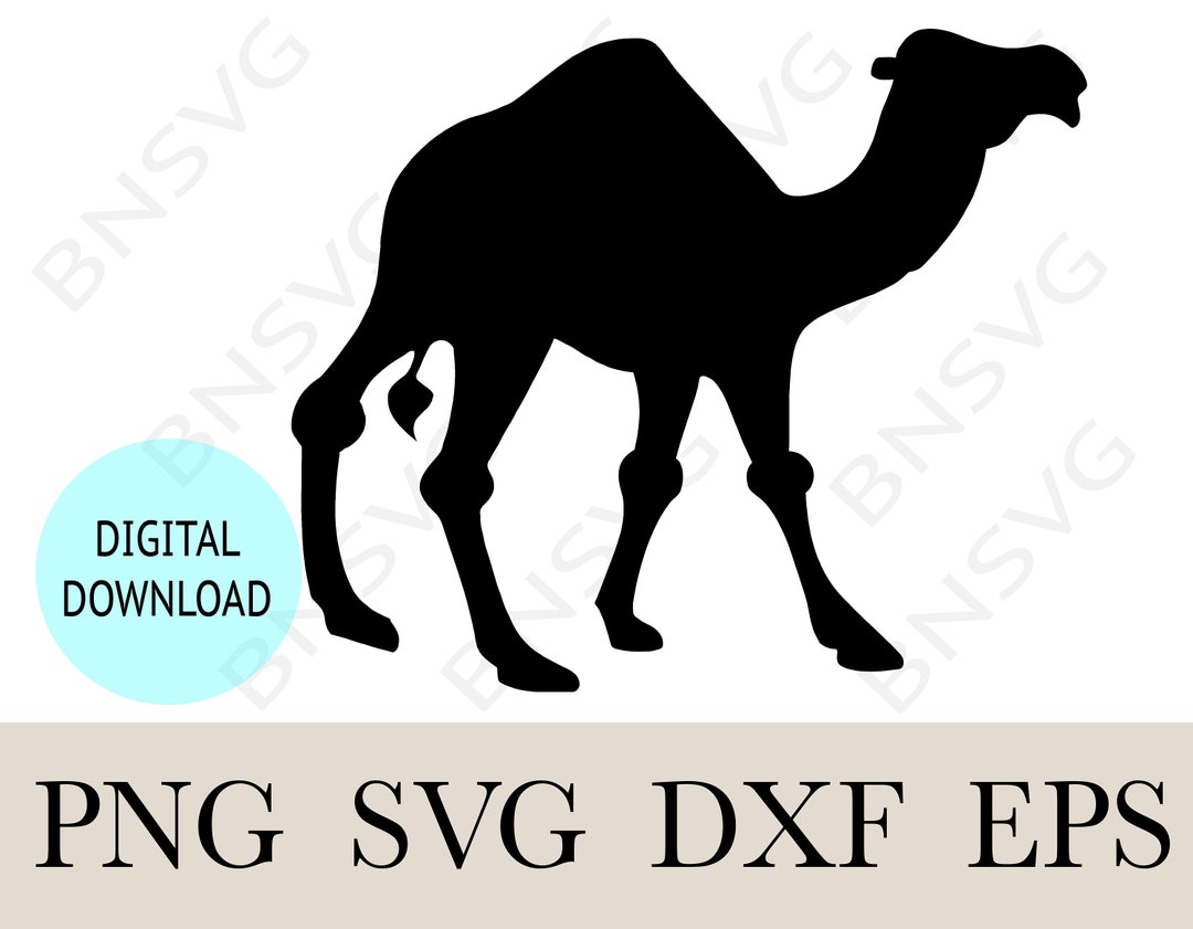 Camel Black Vector Silhouette, Camel Image Eps, Dxf, Png, Camel EPS ...