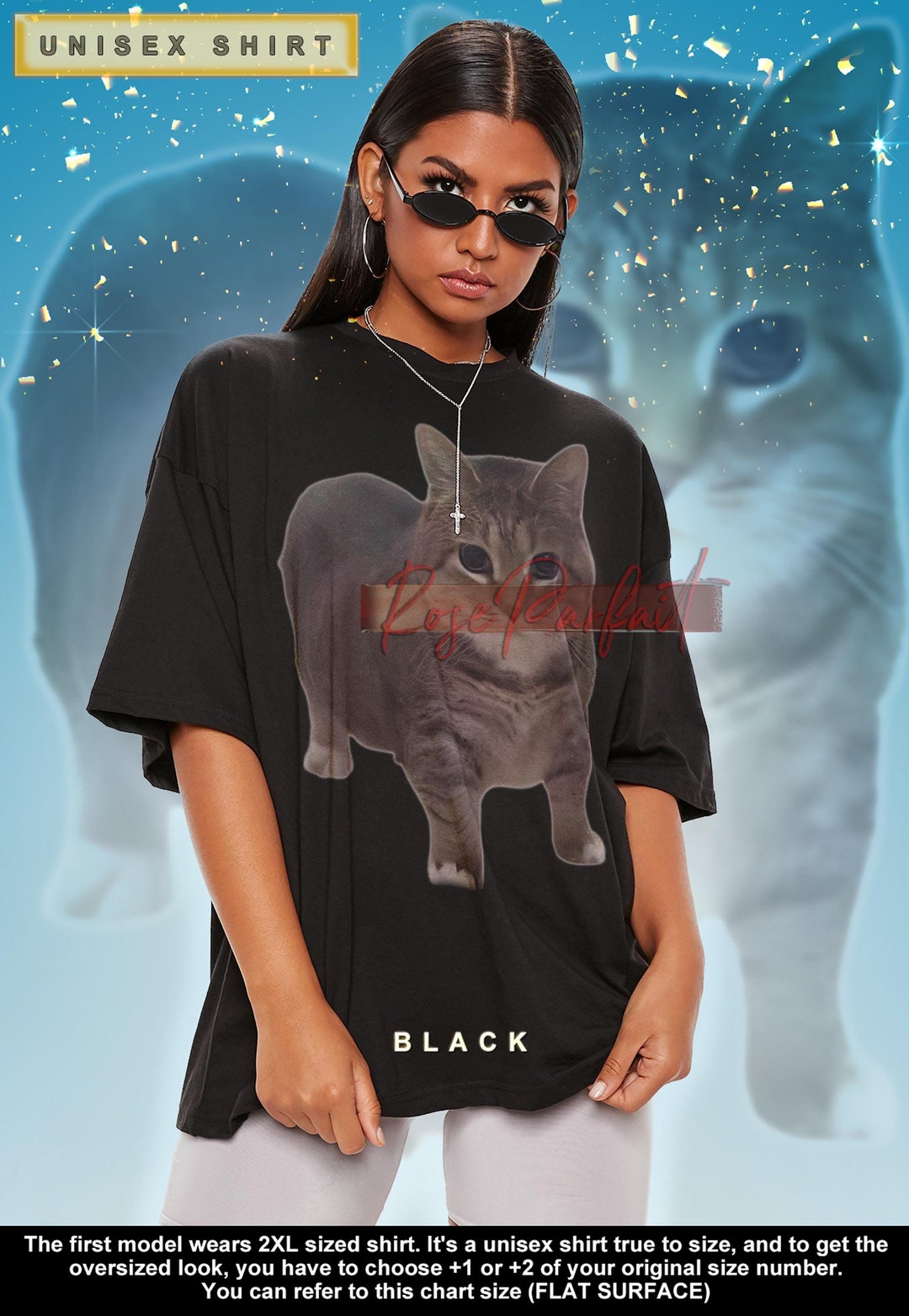 MAXWELL CAT Shirt, Maxwell Spinning Cat Tee, Oiia Oiia Cat Meme ...