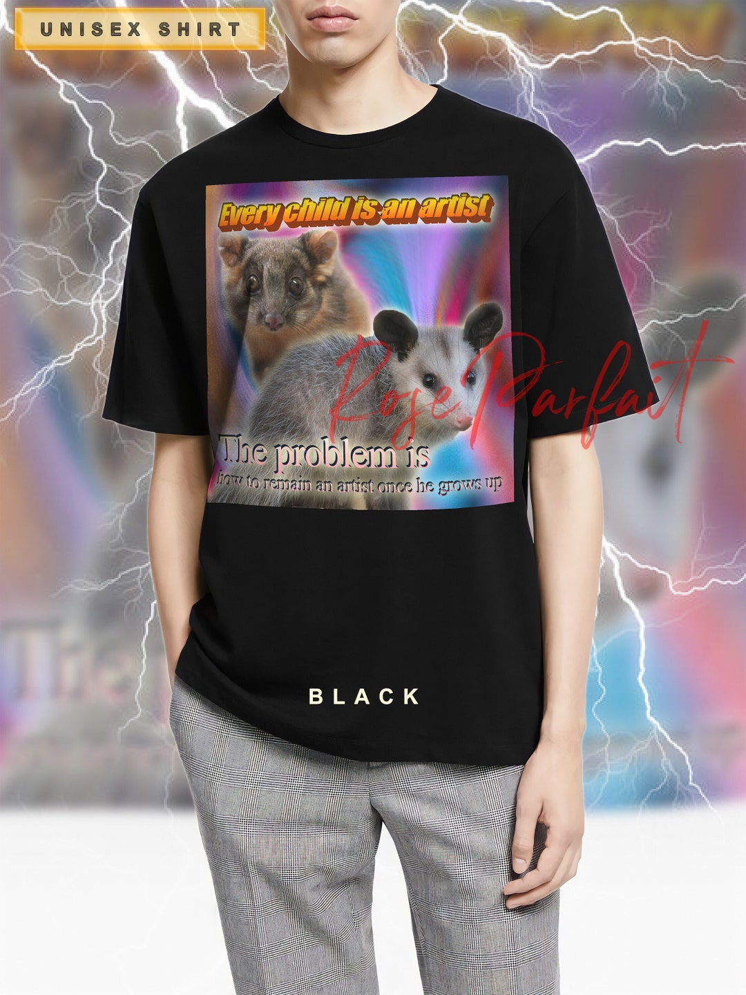 Every Child is an Artist the Problem T-shirt Opposum Meme, Raccoon ...
