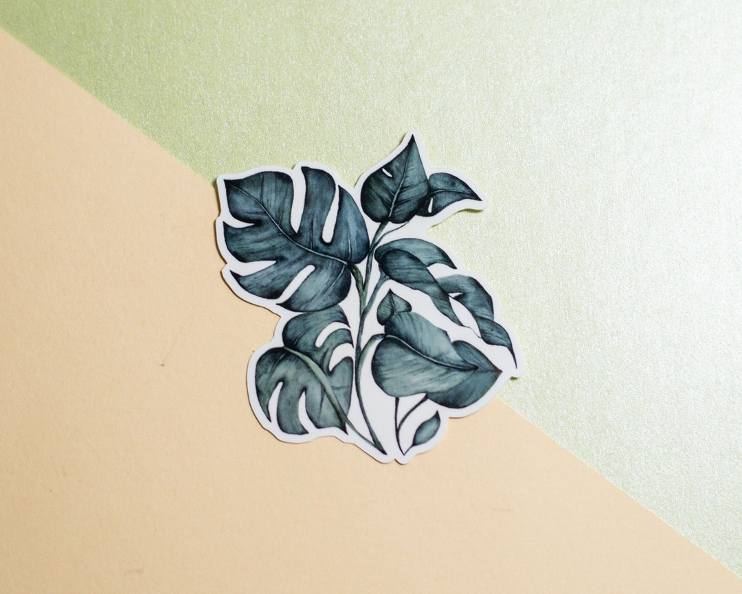 Monstera Plant Sticker: Watercolor Illustration, Glossy Finish - Etsy UK
