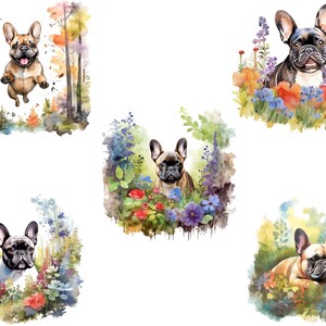 27 Watercolor French Bulldog Clipart Bundle Wall Art Instant Download ...