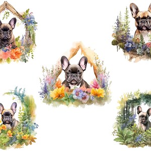 27 Watercolor French Bulldog Clipart Bundle Wall Art Instant Download ...