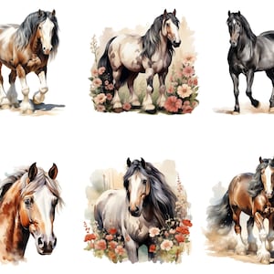 28 Watercolor Horse Clipart Bundle Sublimation Designs, Instant ...