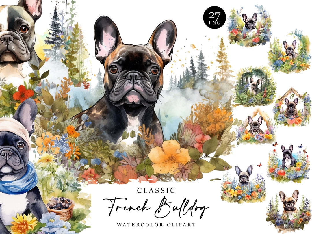 27 Watercolor French Bulldog Clipart Bundle Wall Art Instant Download ...