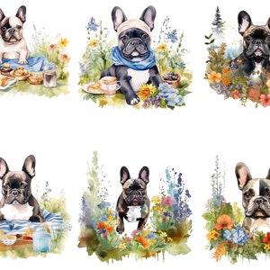 27 Watercolor French Bulldog Clipart Bundle Wall Art Instant Download ...