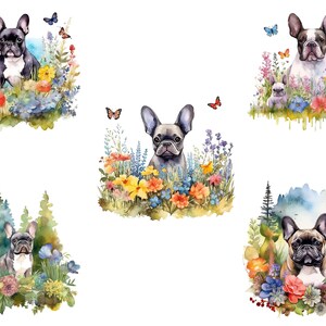 27 Watercolor French Bulldog Clipart Bundle Wall Art Instant Download ...