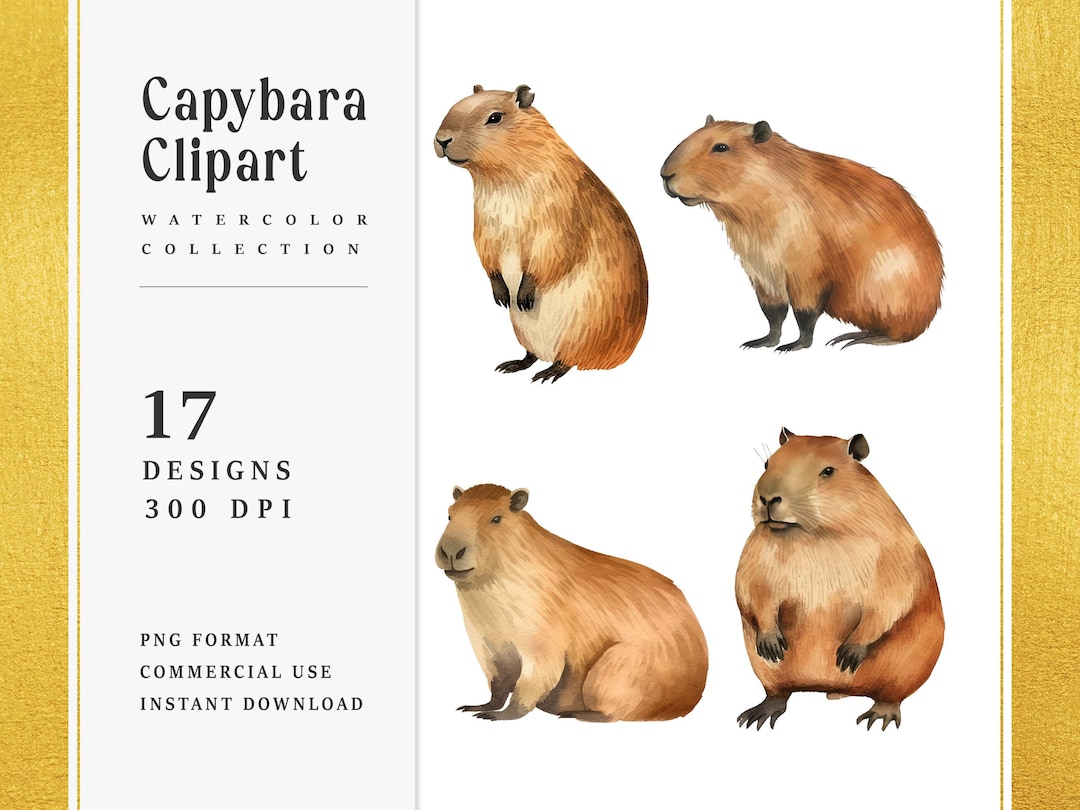 Watercolor Capybara Clipart Bundle Digital Download, Sublimation ...