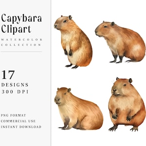 Watercolor Capybara Clipart Bundle Digital Download, Sublimation ...