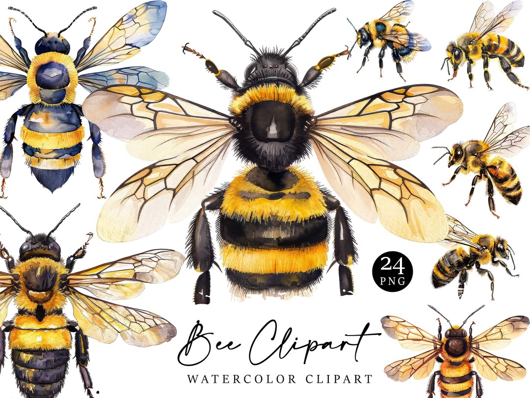 24 Watercolor Bees Watercolor Clipart Digital Download Sublimation ...