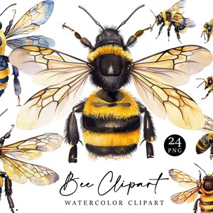24 Watercolor Bees Watercolor Clipart Digital Download Sublimation ...