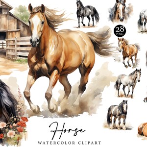 28 Watercolor Horse Clipart Bundle Sublimation Designs, Instant ...
