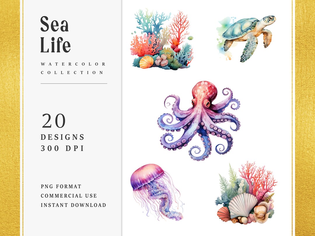 Watercolor Sea Life Clipart Bundle Instant Download Sublimation Designs ...