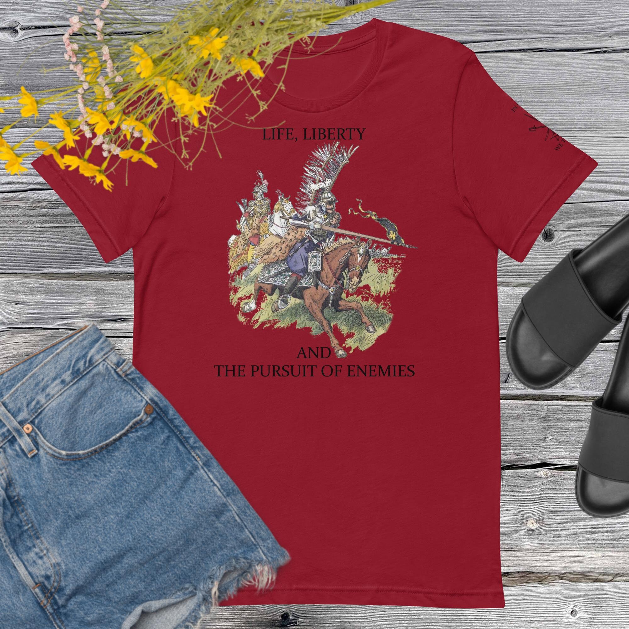 Winged Hussar T-shirt, Polish Cavalry HEMA Bohurt Tee - Etsy