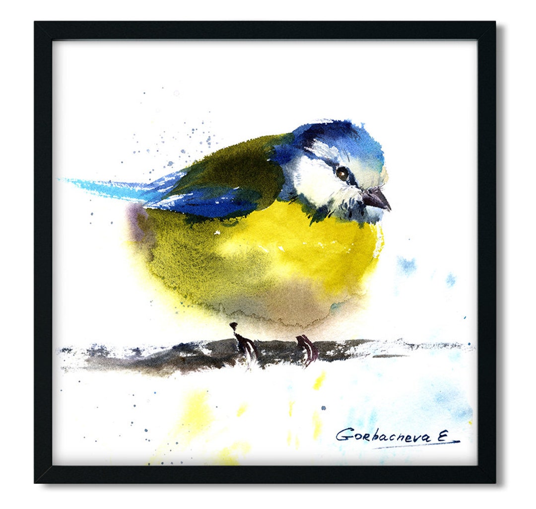 Titmouse Watercolor Painting Little Bird Art Print Chickadee Poster ...