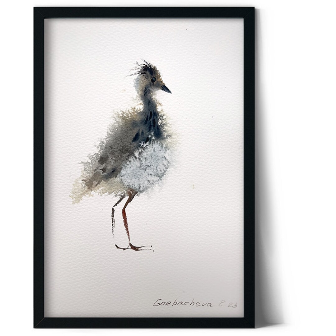 Small Watercolor Painting of Gray Lapwing Chick, Original Bird Art ...
