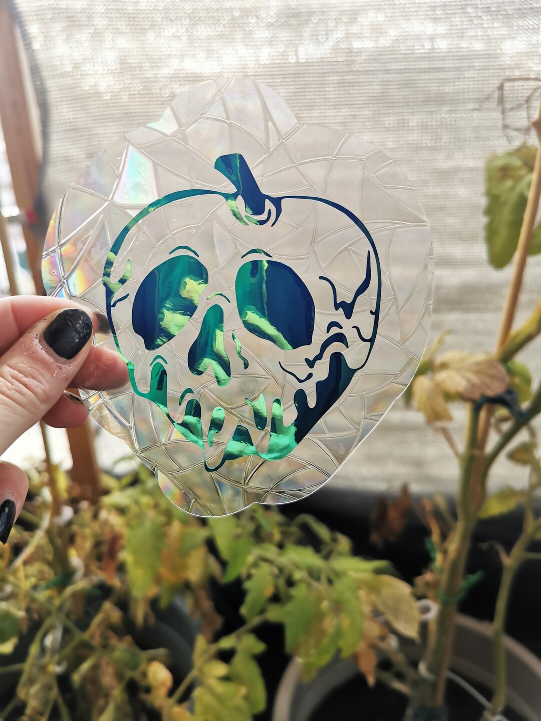 Suncatcher Poison Apple Rainbow Window Witch Home Decor - Etsy