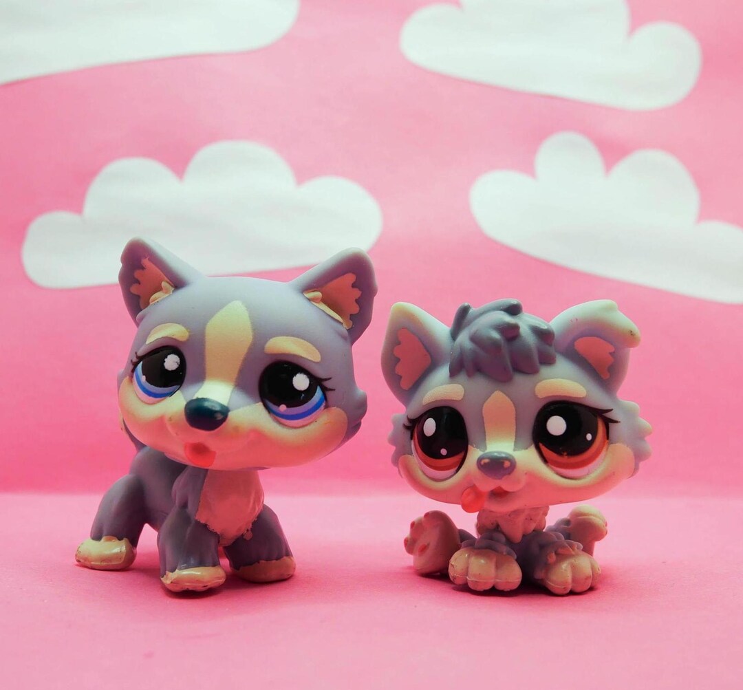 Littlest Pet Shop Blue Puppy Husky Baby 1683 Blue Husky Dog 1684 Duo ...