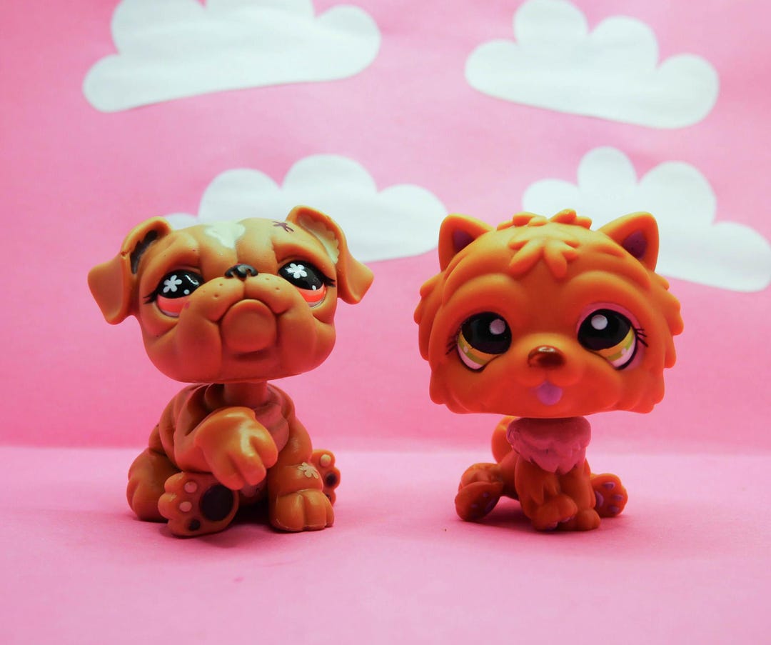 Littlest Pet Shop Bulldog With Flowers 719 Brown Chow Chow 1157 Vintage ...